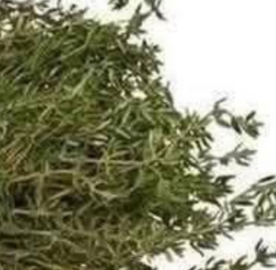 The Most Potent Herb That Destroys Parasites, Urinary Tract – Castor ...